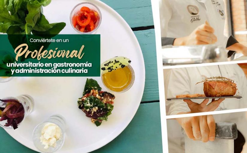 Conviértete en un profesional universitario en gastronomía y ...