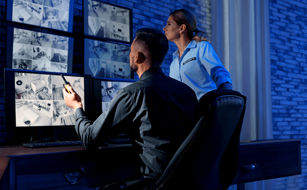 La Importancia de la Seguridad Integral en la Sociedad Moderna - IES