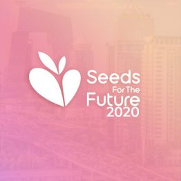 ¡Aplica a las becas de Seeds for the Future 2020! | Universidad Galileo